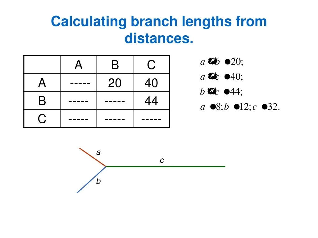 PPT - Methods for Calculating Branch Lengths from Distances in ...