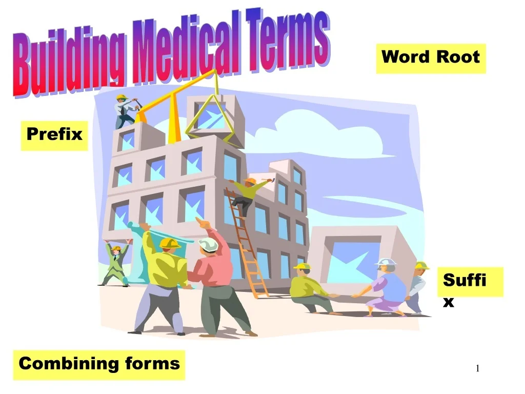 PPT - Mastering Medical Terminology: Word Roots, Prefixes, Suffixes ...