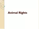 PPT - Animal Rights PowerPoint Presentation, free download - ID:2218131