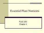 PPT - Essential plant nutrients PowerPoint Presentation, free download - ID:1423355