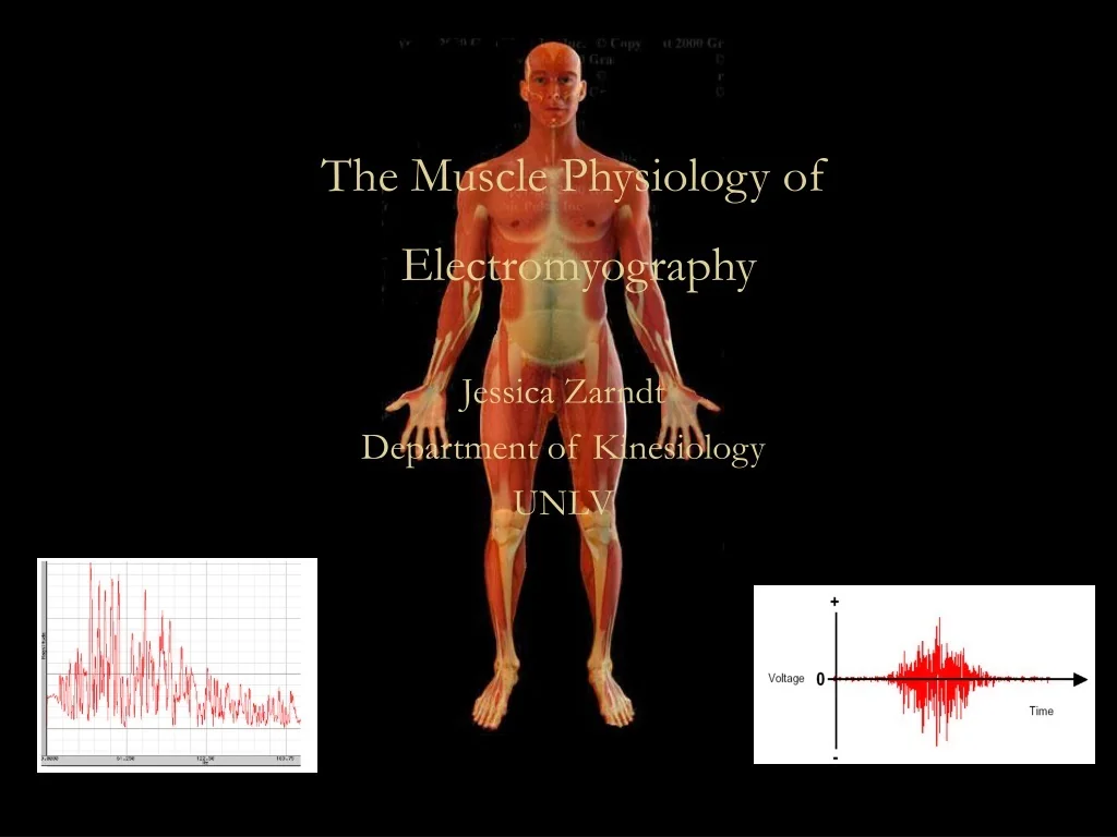 PPT - Understanding EMG and Muscle Physiology: An In-Depth Exploration ...
