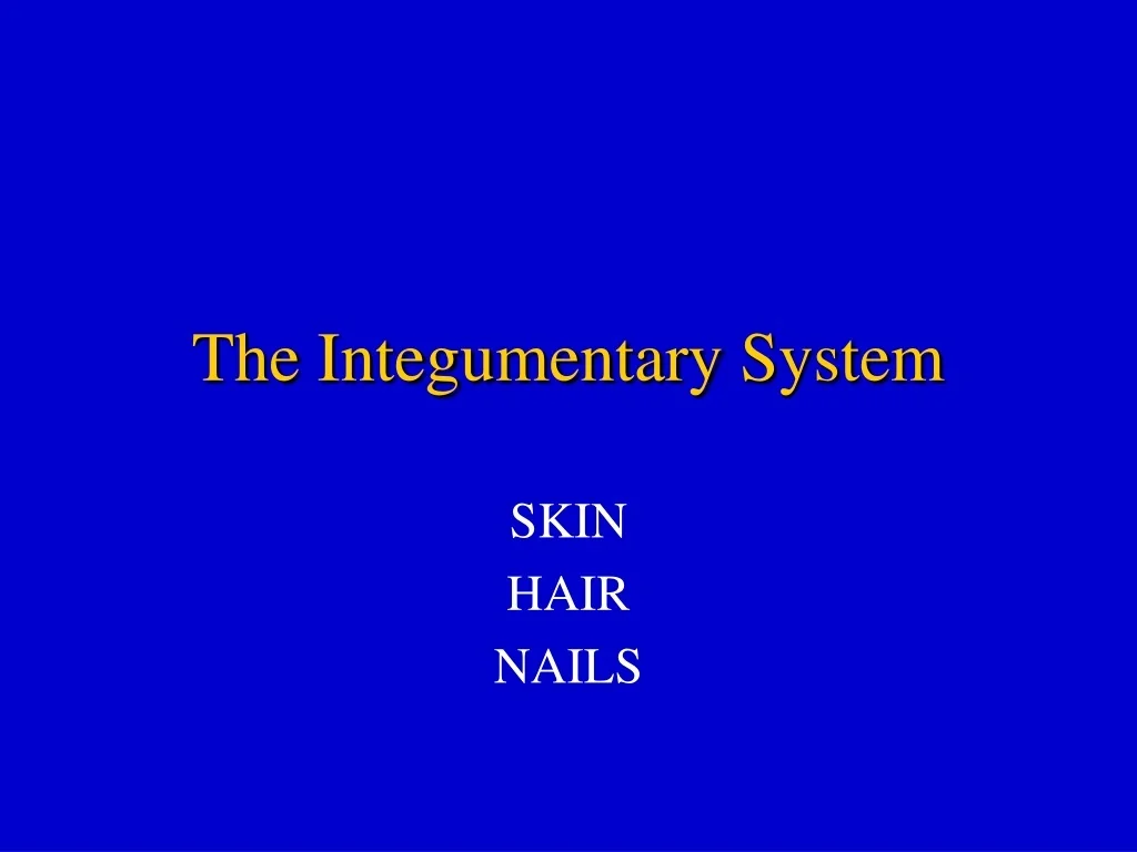 PPT - The Integumentary System PowerPoint Presentation, free download ...