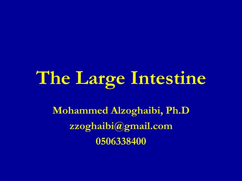 PPT - The Large Intestine PowerPoint Presentation, free download - ID ...