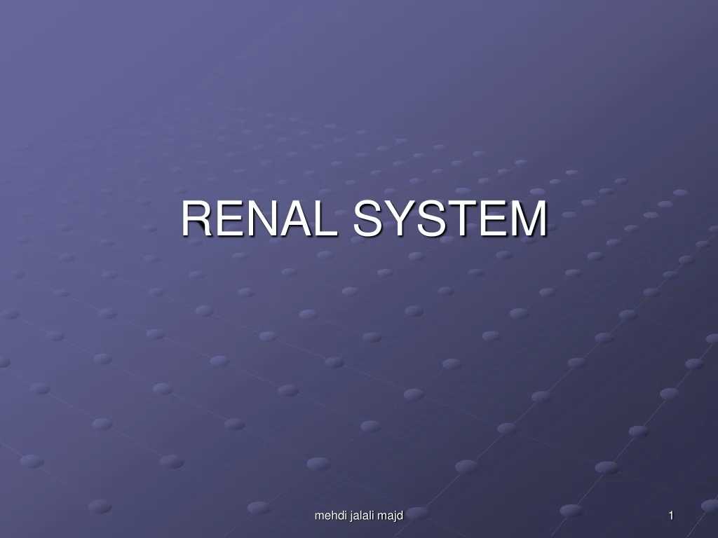 PPT - RENAL SYSTEM PowerPoint Presentation, free download - ID:9548883
