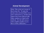 PPT - Animal Development PowerPoint Presentation, free download - ID ...