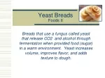 PPT - YEAST BREADS PowerPoint Presentation, free download - ID:1783781