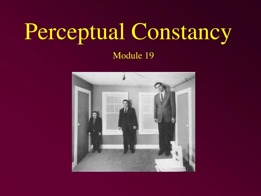 PPT - Perceptual Constancy PowerPoint Presentation, free download - ID ...