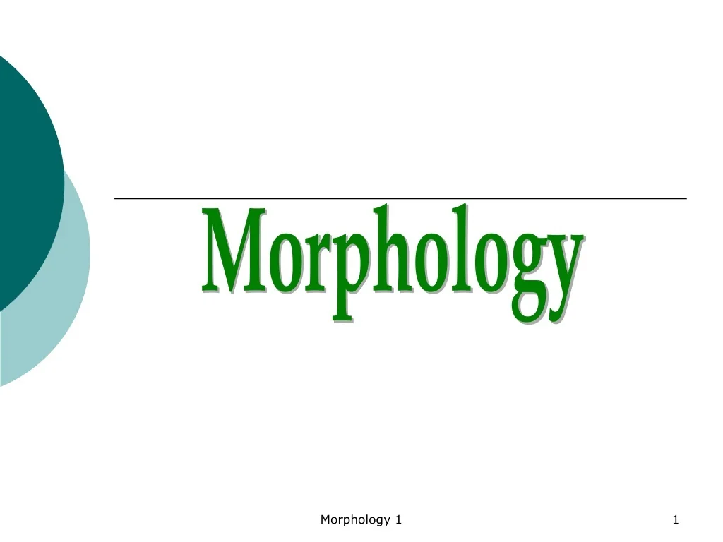 PPT - Morphology PowerPoint Presentation, free download - ID:9551949