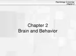PPT - Chapter 2 The Brain PowerPoint Presentation, free download - ID ...