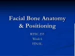 PPT - Long Bone Anatomy PowerPoint Presentation, free download - ID:5430373