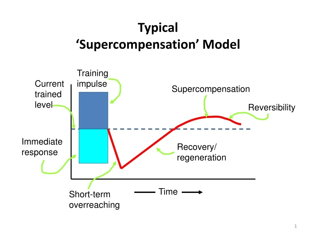PPT - Typical ‘Supercompensation’ Model PowerPoint Presentation, free ...