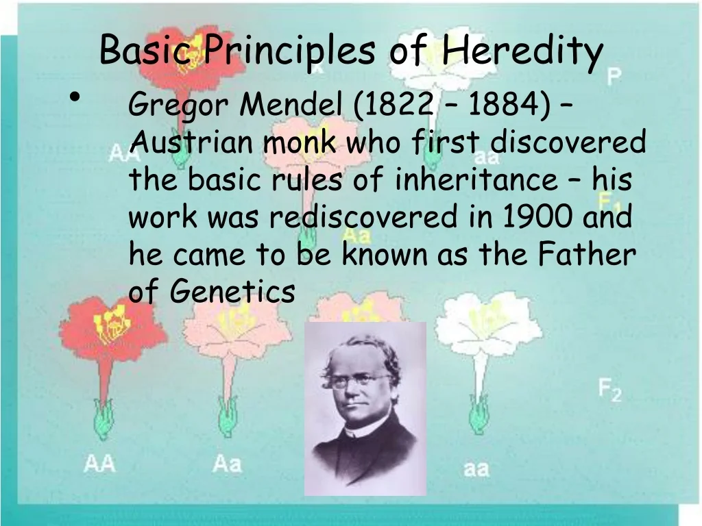 PPT - Heredity: Mendel's Principles and Genetic Inheritance PowerPoint ...