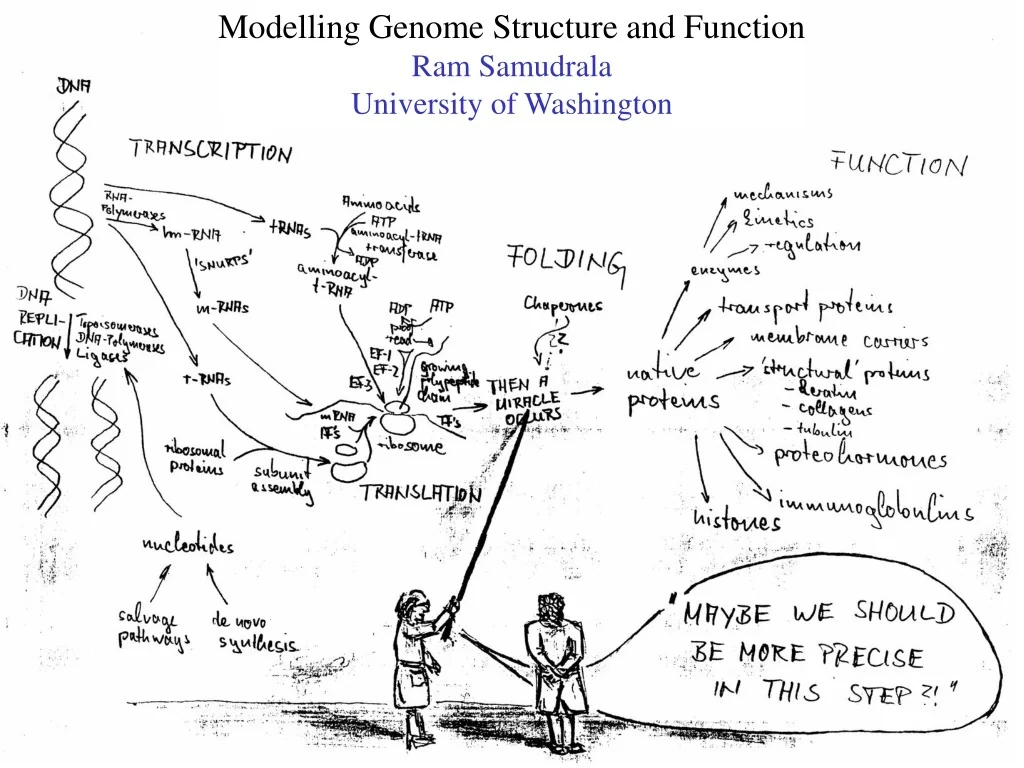 PPT - Modelling Genome Structure and Function Ram Samudrala University ...