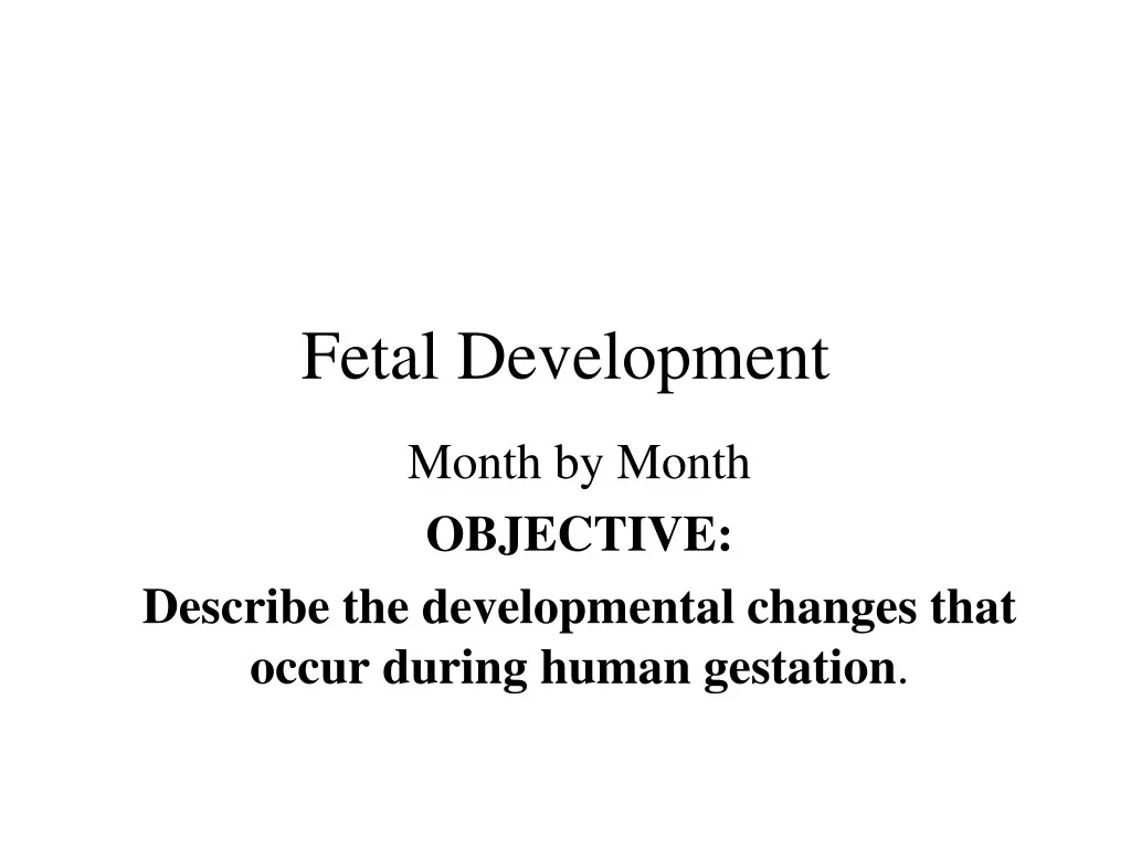 PPT - Fetal Development Month by Month: A Comprehensive Guide ...