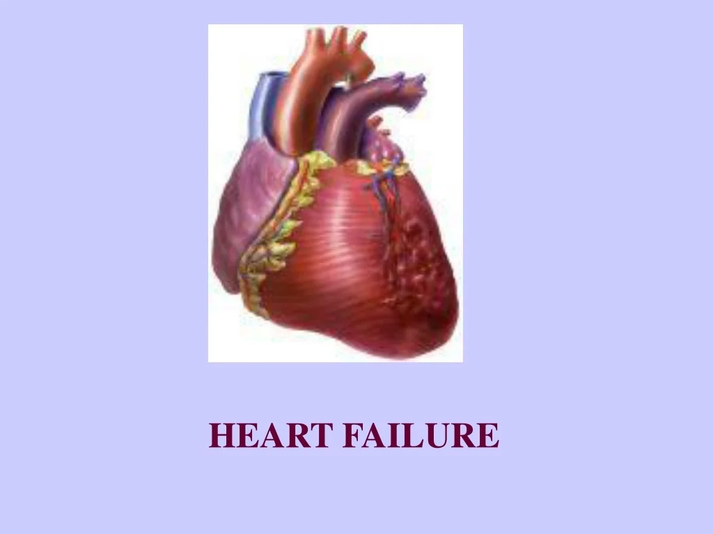PPT - HEART FAILURE PowerPoint Presentation, free download - ID:9561430