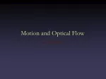 PPT - Calculating Optical Flow PowerPoint Presentation, free download ...