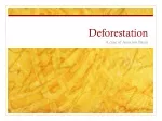 PPT - DEFORESTATION PowerPoint Presentation, free download - ID:2243633