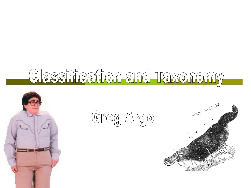 PPT - Exploring Organization of Information: Classification and ...