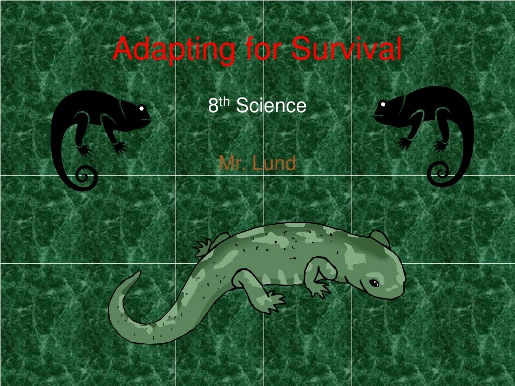 PPT - The Importance of Adaptation in Survival PowerPoint Presentation ...