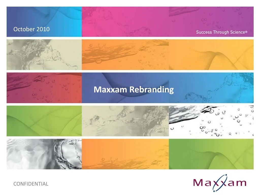 PPT - Maxxam Rebranding: Success Through Science PowerPoint ...