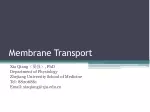 PPT - Membrane Transport PowerPoint Presentation, free download - ID:659426