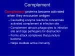 PPT - Complement PowerPoint Presentation, free download - ID:740256