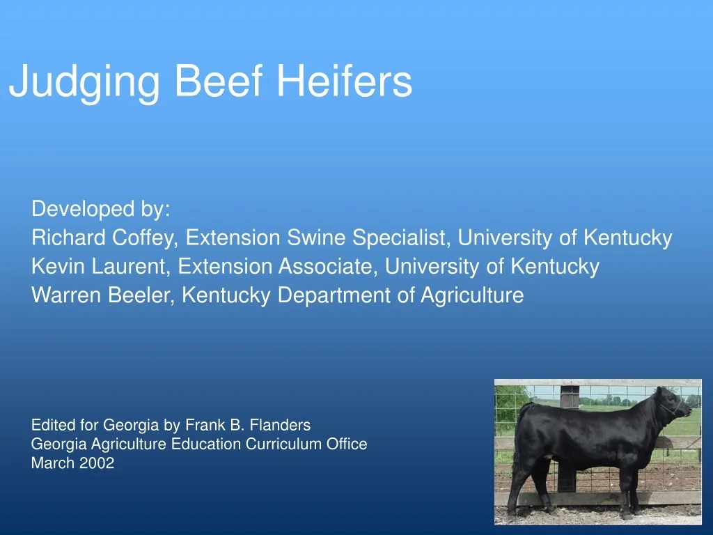 PPT - Evaluating Beef Heifers: Key Judging Steps and Traits PowerPoint ...
