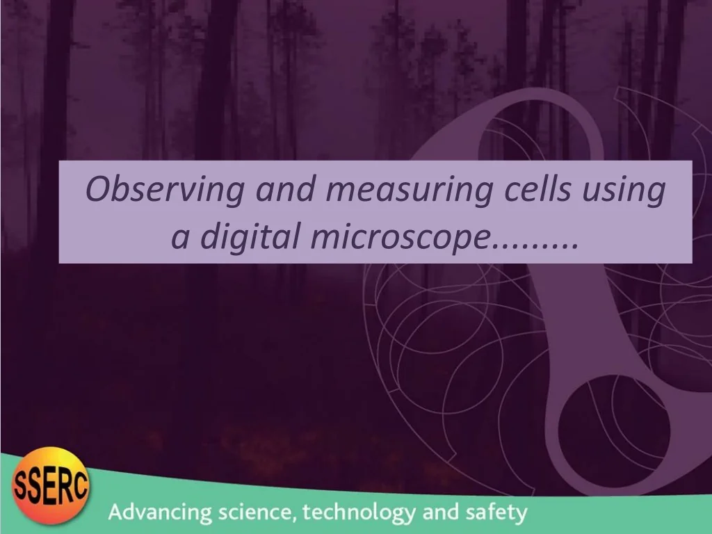 PPT - Observing and measuring cells using a digital microscope ...