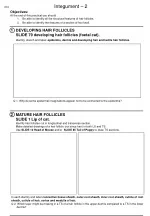 PPT - Insect Physiology - Integument Systems PowerPoint Presentation ...