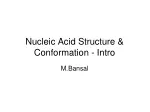 PPT - Nucleic Acid Structure and Stability PowerPoint Presentation ...