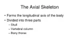 PPT - The Axial Age PowerPoint Presentation, free download - ID:742000