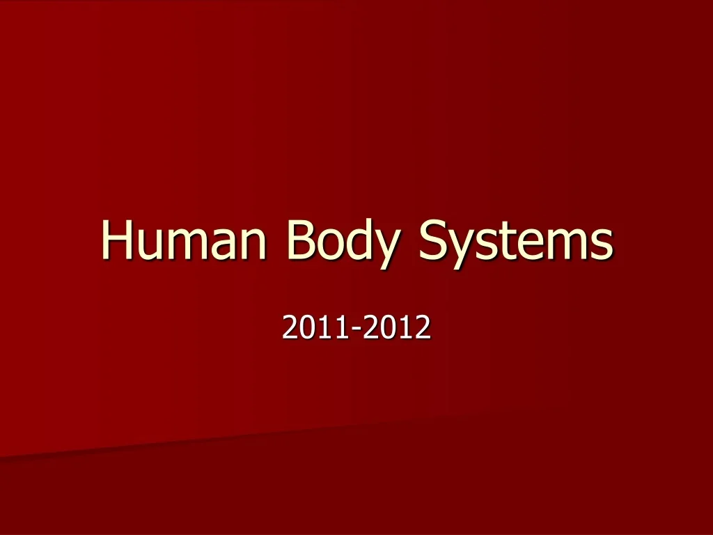 PPT - Human Body Systems PowerPoint Presentation, free download - ID ...