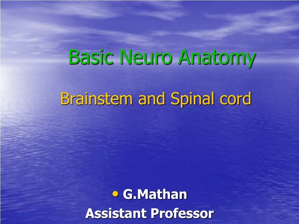 PPT - Basic Neuro Anatomy: Brain Stem & Spinal Cord Guide PowerPoint ...