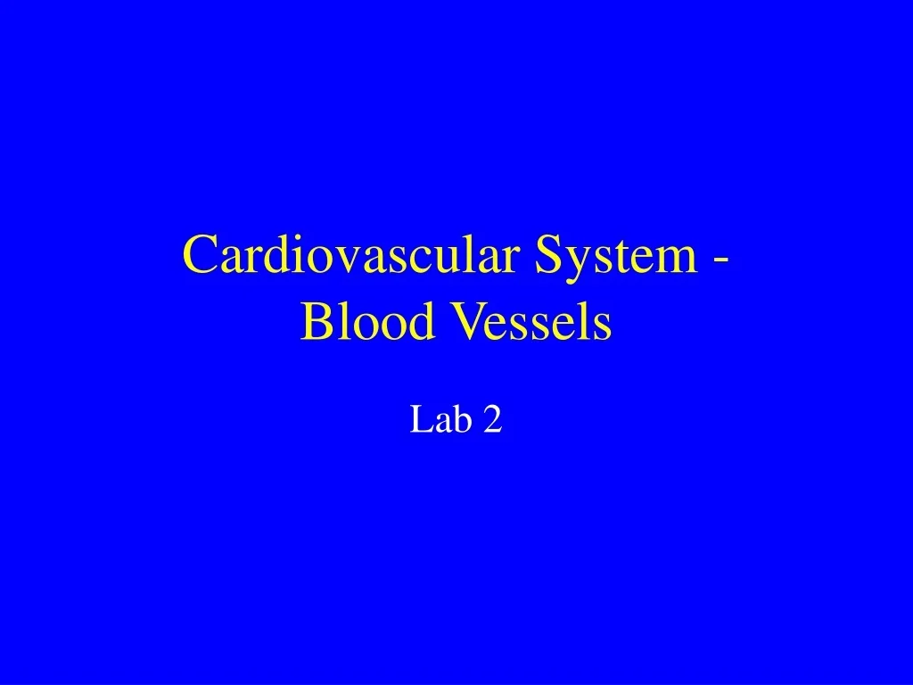 PPT - Cardiovascular System: Blood Vessels Lab 2 Overview PowerPoint ...