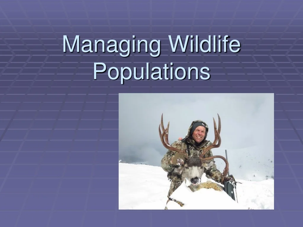 PPT - Managing Wildlife Populations PowerPoint Presentation, free ...