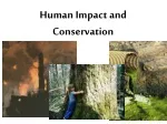 PPT - Ecology and Human Impact PowerPoint Presentation, free download ...