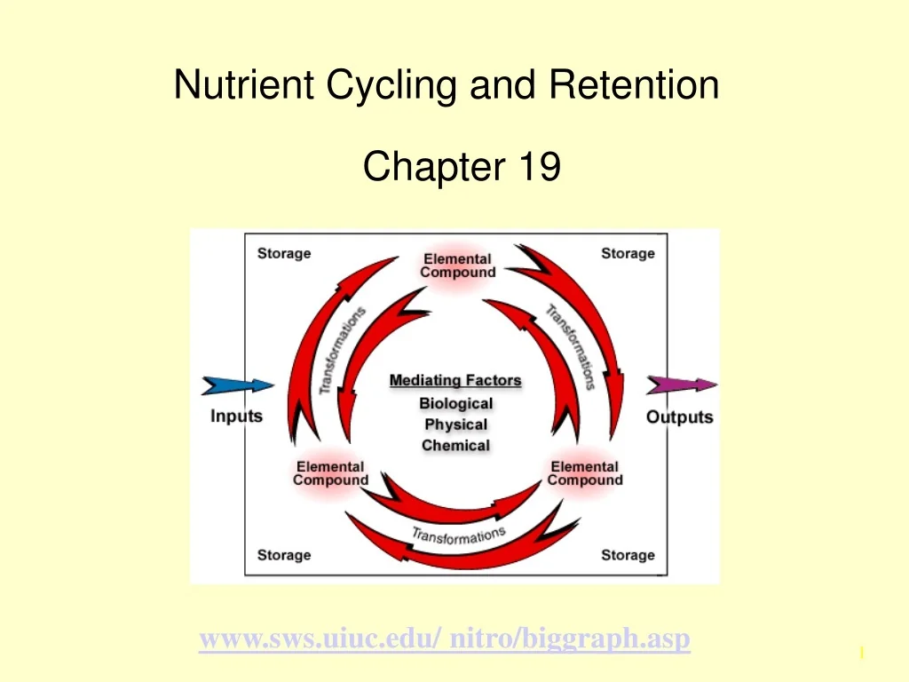PPT - Nutrient Cycling and Retention PowerPoint Presentation, free ...