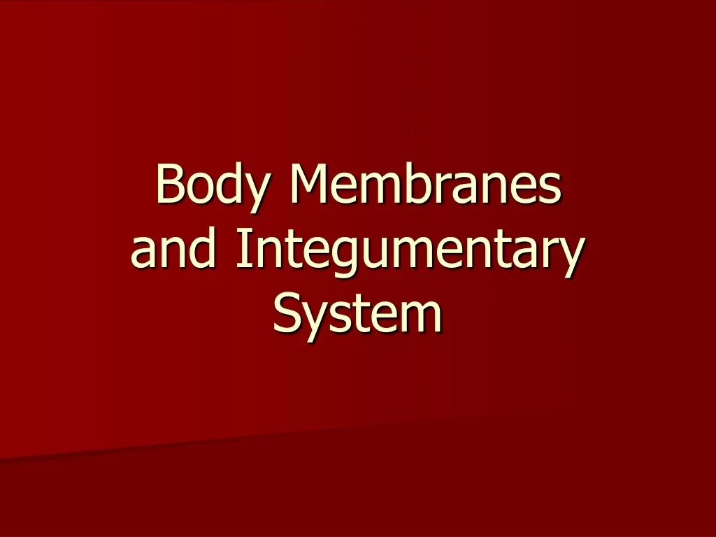 PPT - Body Membranes and Integumentary System PowerPoint Presentation ...