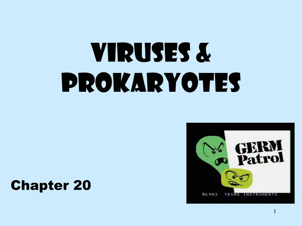 PPT - VIRUSES & Prokaryotes PowerPoint Presentation, free download - ID ...