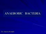 PPT - Anaerobic Bacteria PowerPoint Presentation, free download - ID ...