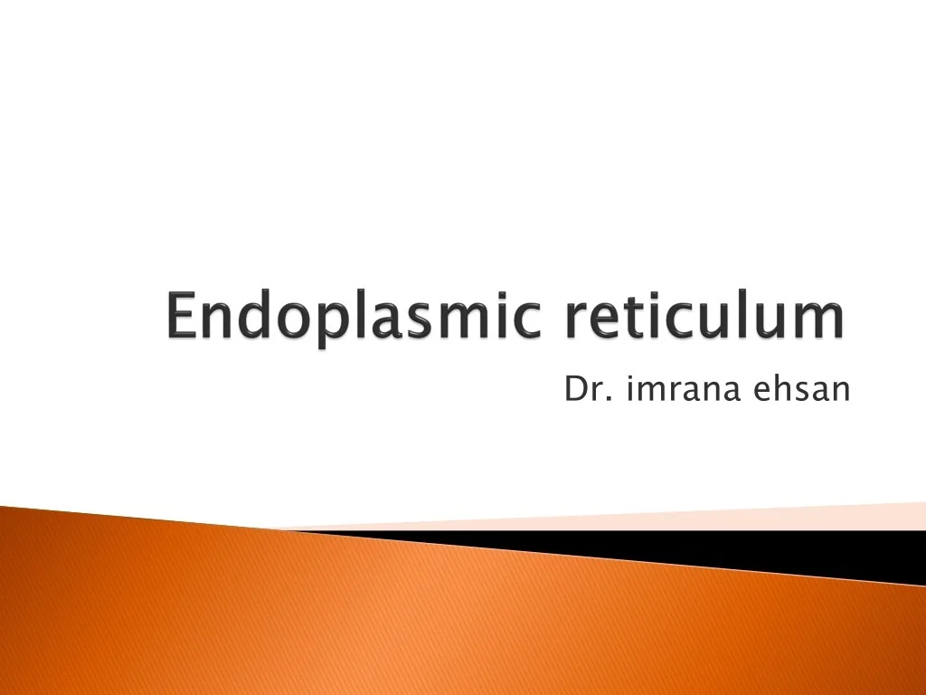 PPT - Endoplasmic reticulum PowerPoint Presentation, free download - ID ...