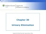 PPT - Urinary Elimination PowerPoint Presentation, free download - ID ...