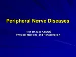 PPT - SURGICAL PRINCIPLES OF PERIPHERAL NERVE REPAIR PowerPoint ...