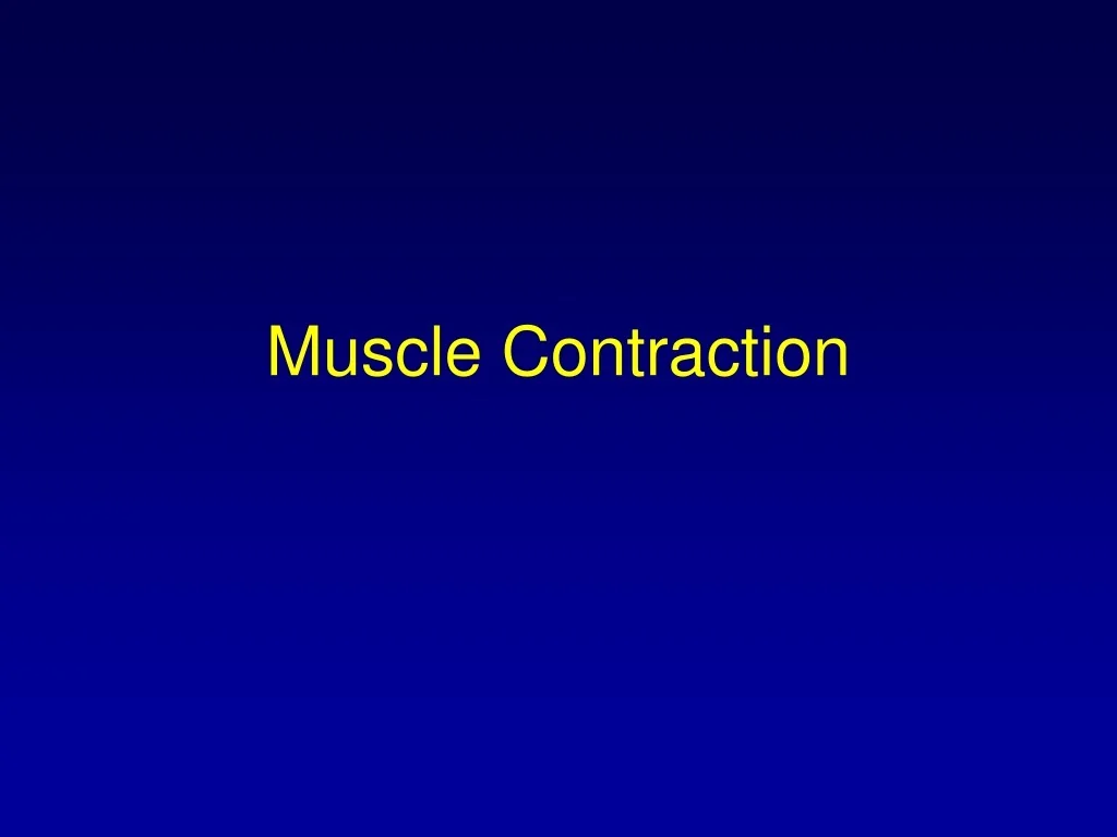 PPT - Understanding Muscle Contraction Process PowerPoint Presentation ...