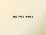 PPT - Enzymes Part 1 PowerPoint Presentation, free download - ID:5789923