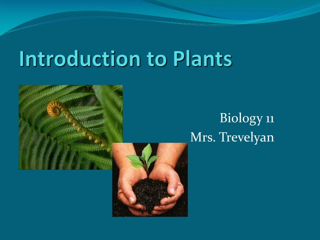 PPT - Introduction to Plants PowerPoint Presentation, free download ...