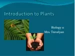 PPT - Introduction to plants PowerPoint Presentation, free download ...