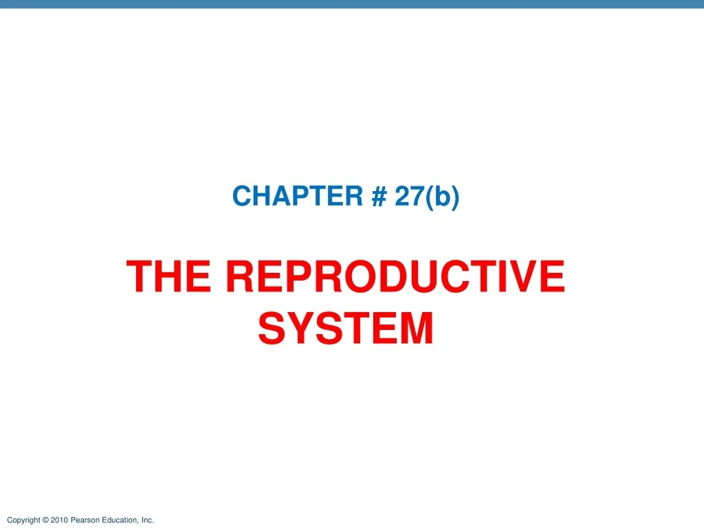 PPT - THE REPRODUCTIVE SYSTEM PowerPoint Presentation, free download ...