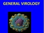 PPT - General Virology PowerPoint Presentation, free download - ID:1270837
