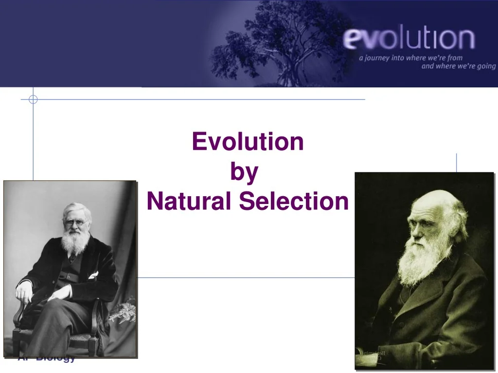 PPT - Evolution by Natural Selection PowerPoint Presentation, free ...